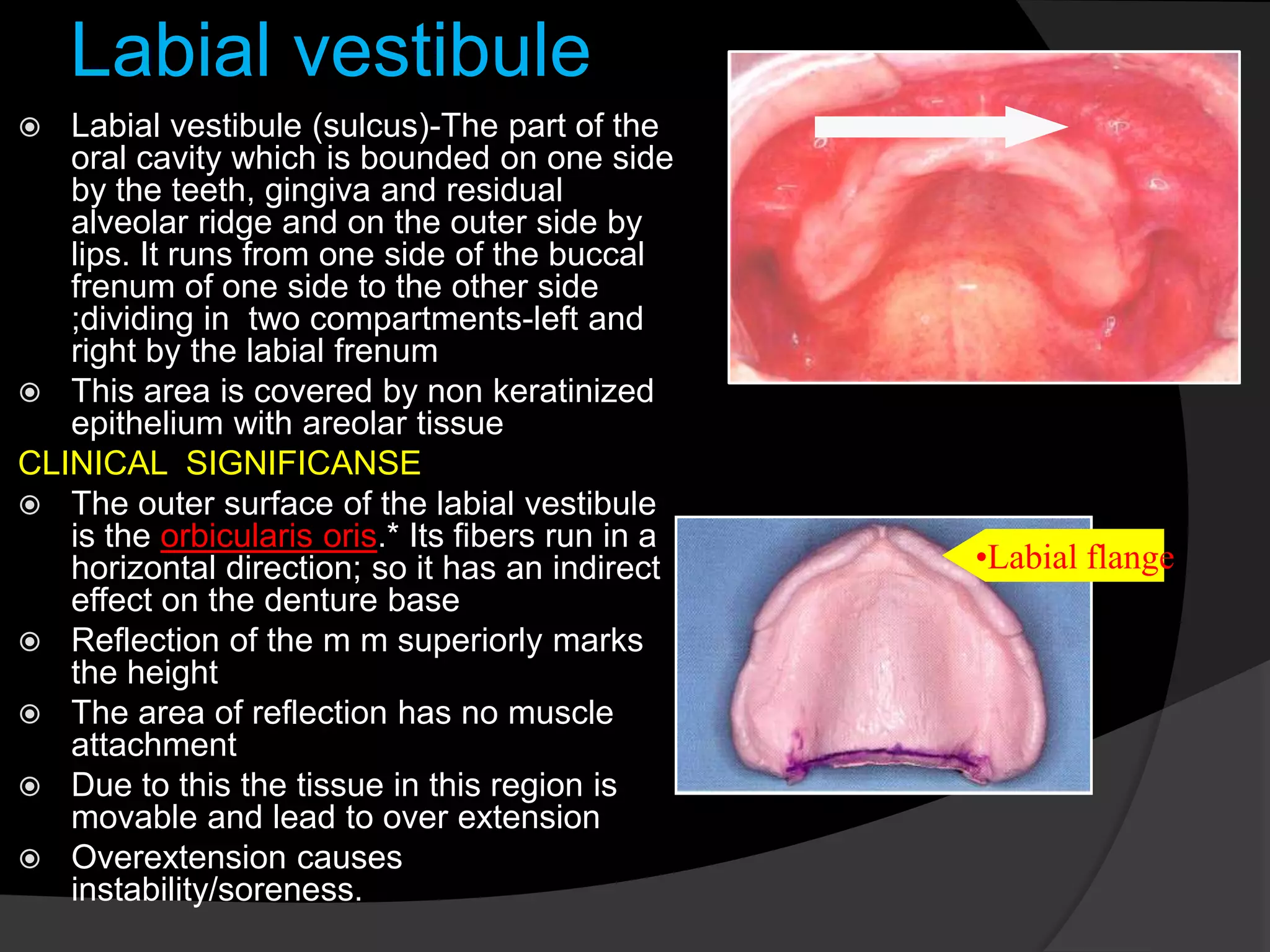 significance of maxillary denture bearing area | PPTX