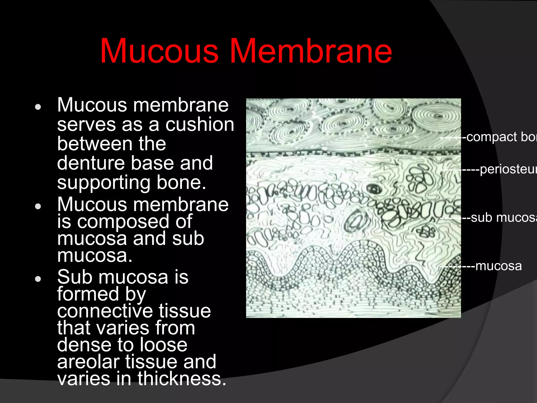 significance of maxillary denture bearing area | PPTX