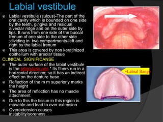 significance of maxillary denture bearing area | PPTX
