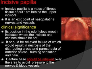 significance of maxillary denture bearing area | PPTX