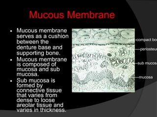 significance of maxillary denture bearing area | PPTX