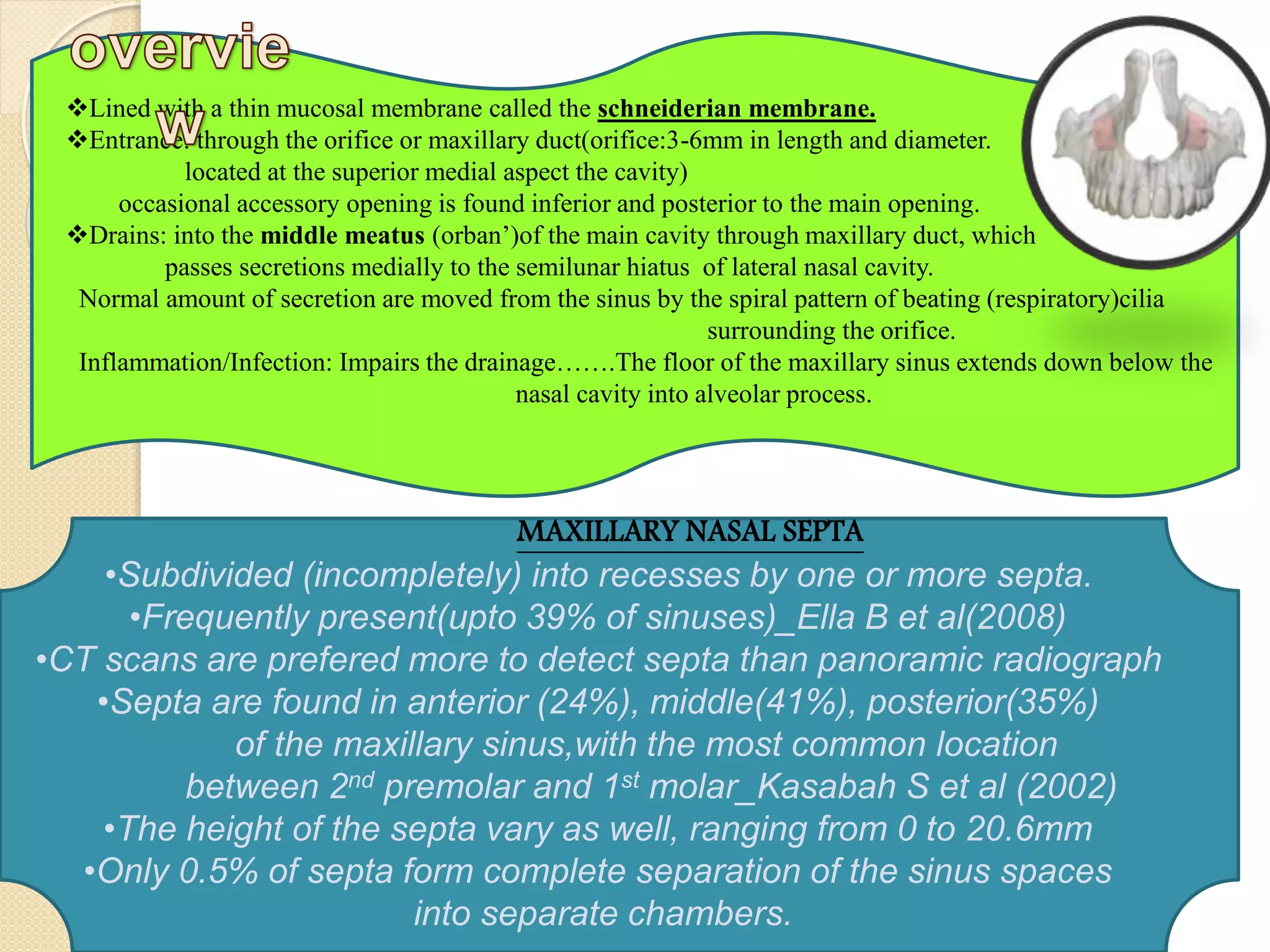 Development,anatomy and applied anatomy of Maxilla | PPTX