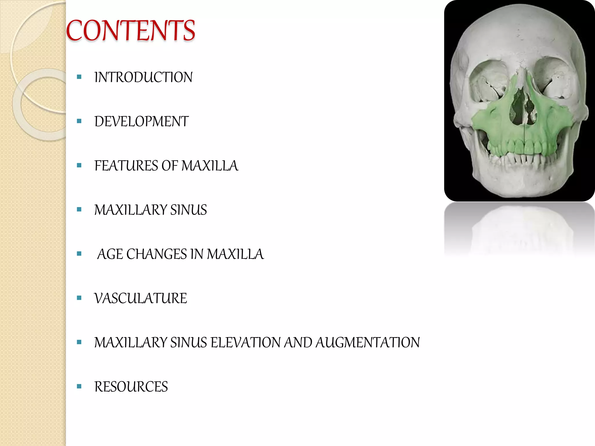 Development,anatomy and applied anatomy of Maxilla | PPTX