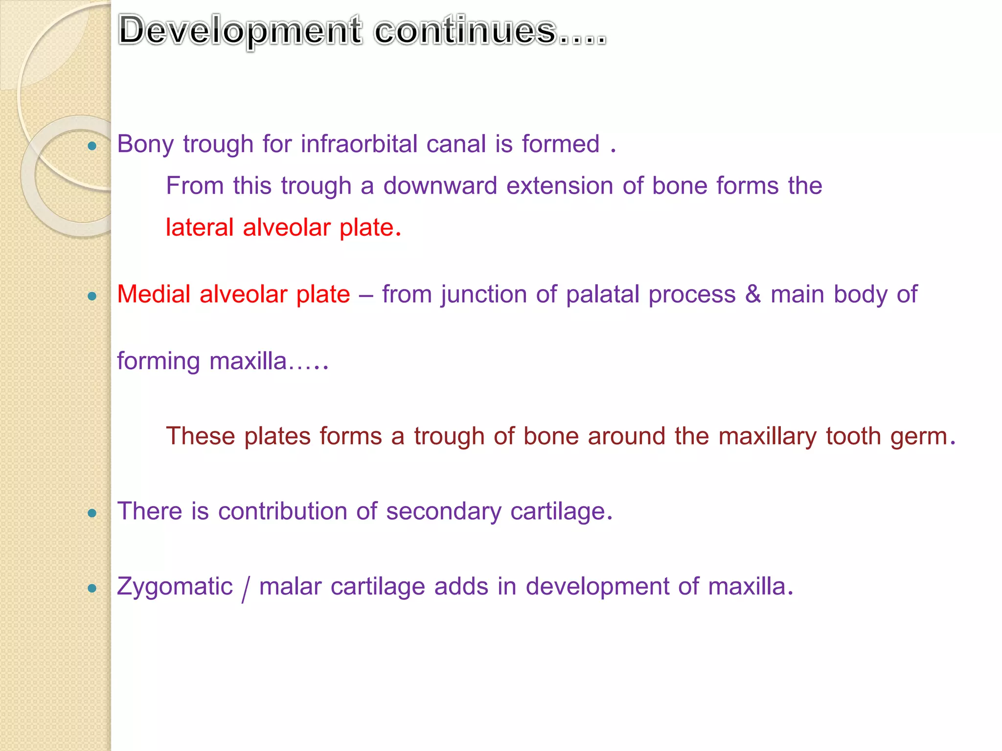 Development,anatomy and applied anatomy of Maxilla | PPTX