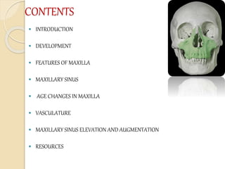 Development,anatomy and applied anatomy of Maxilla | PPTX