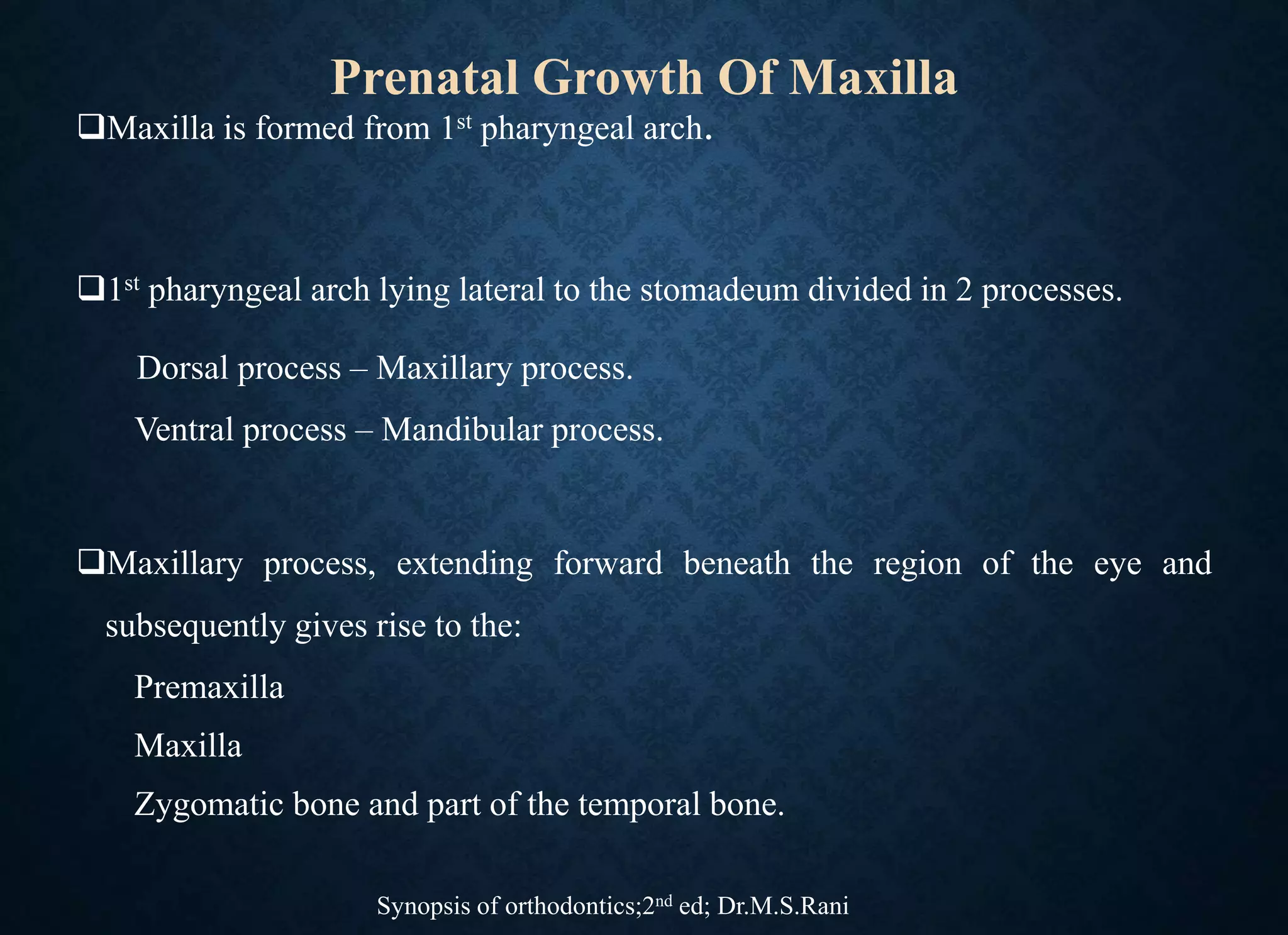 Maxilla | PPTX