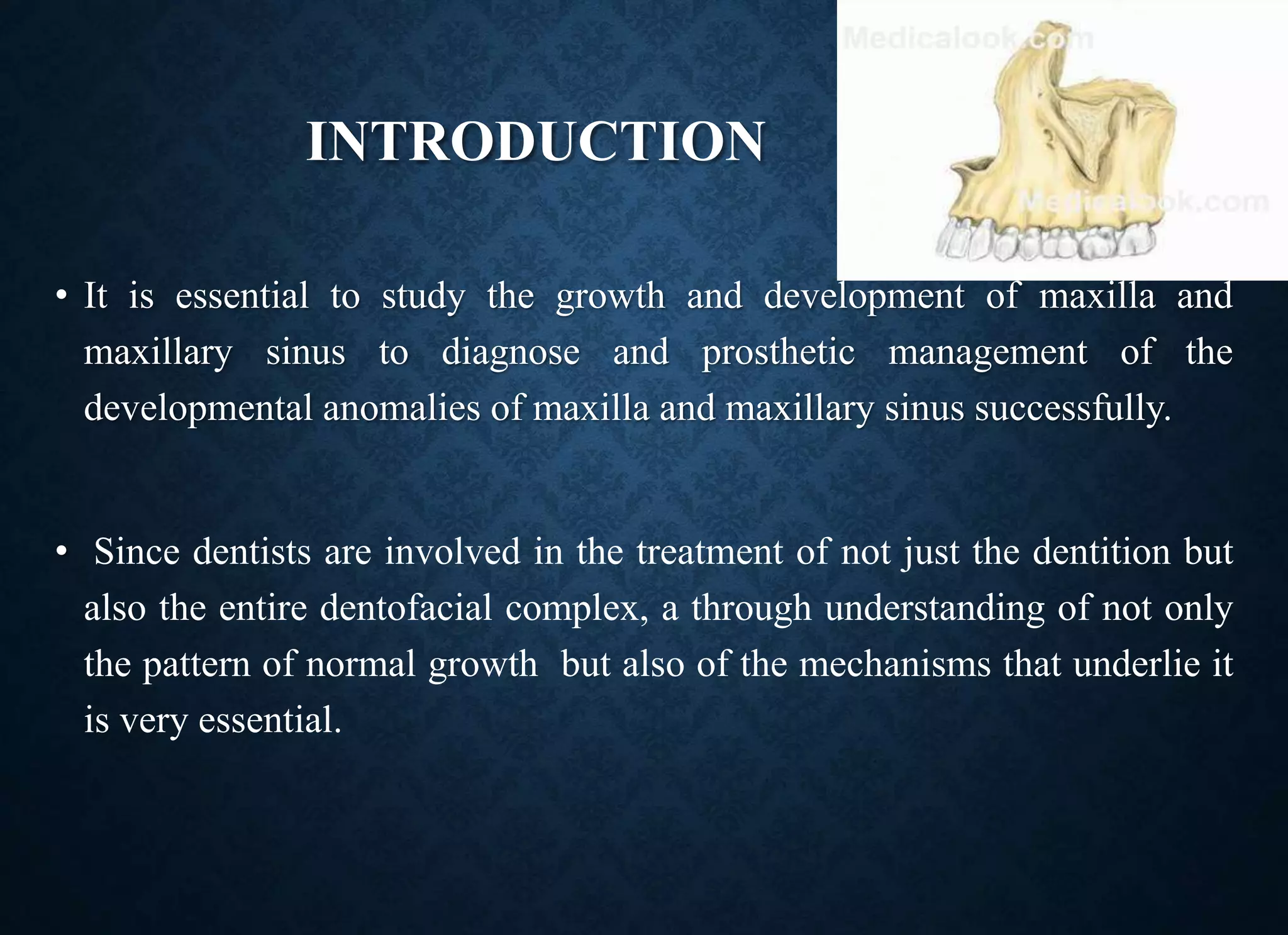 Maxilla | PPTX