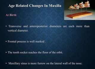 Maxilla | PPTX