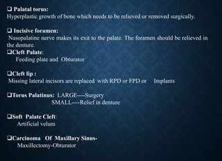 Maxilla | PPTX