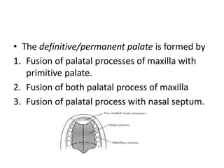 maxilla, development and clinical corelation.pptx