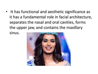 maxilla, development and clinical corelation.pptx