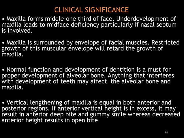 Maxilla anatomy first year periodontal mds | PPT