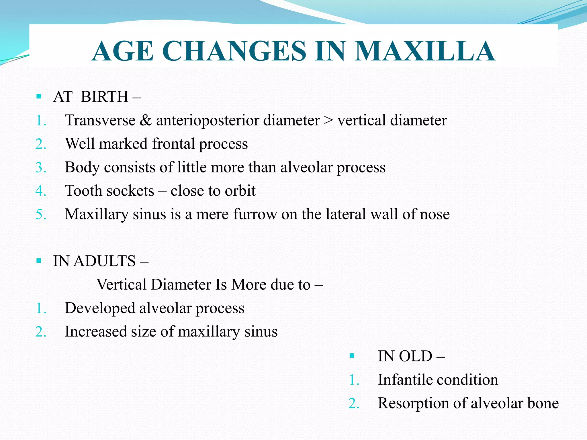 Maxilla anatomy, development & surgical anatomy | PPTX