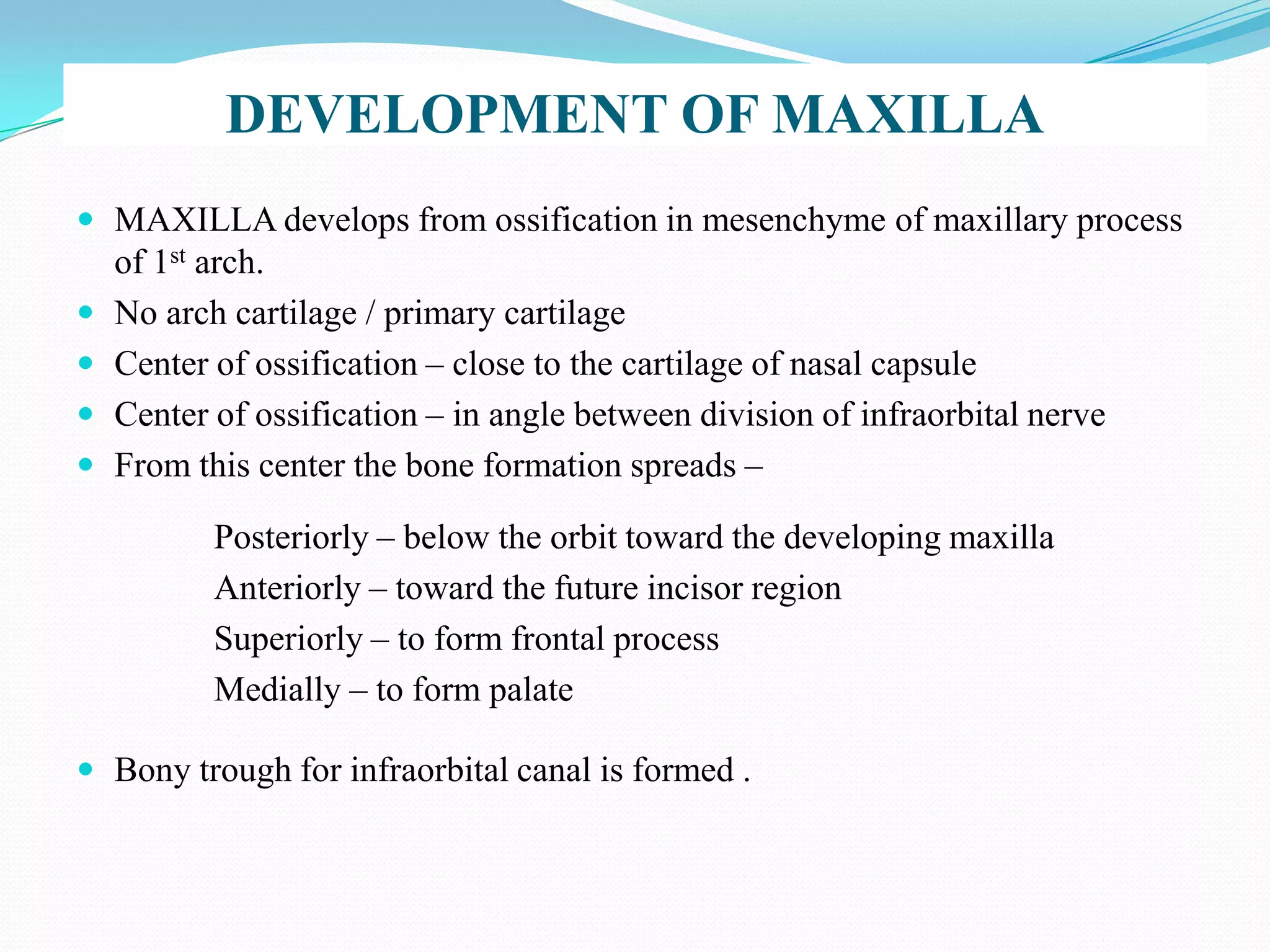 Maxilla anatomy, development & surgical anatomy | PPTX