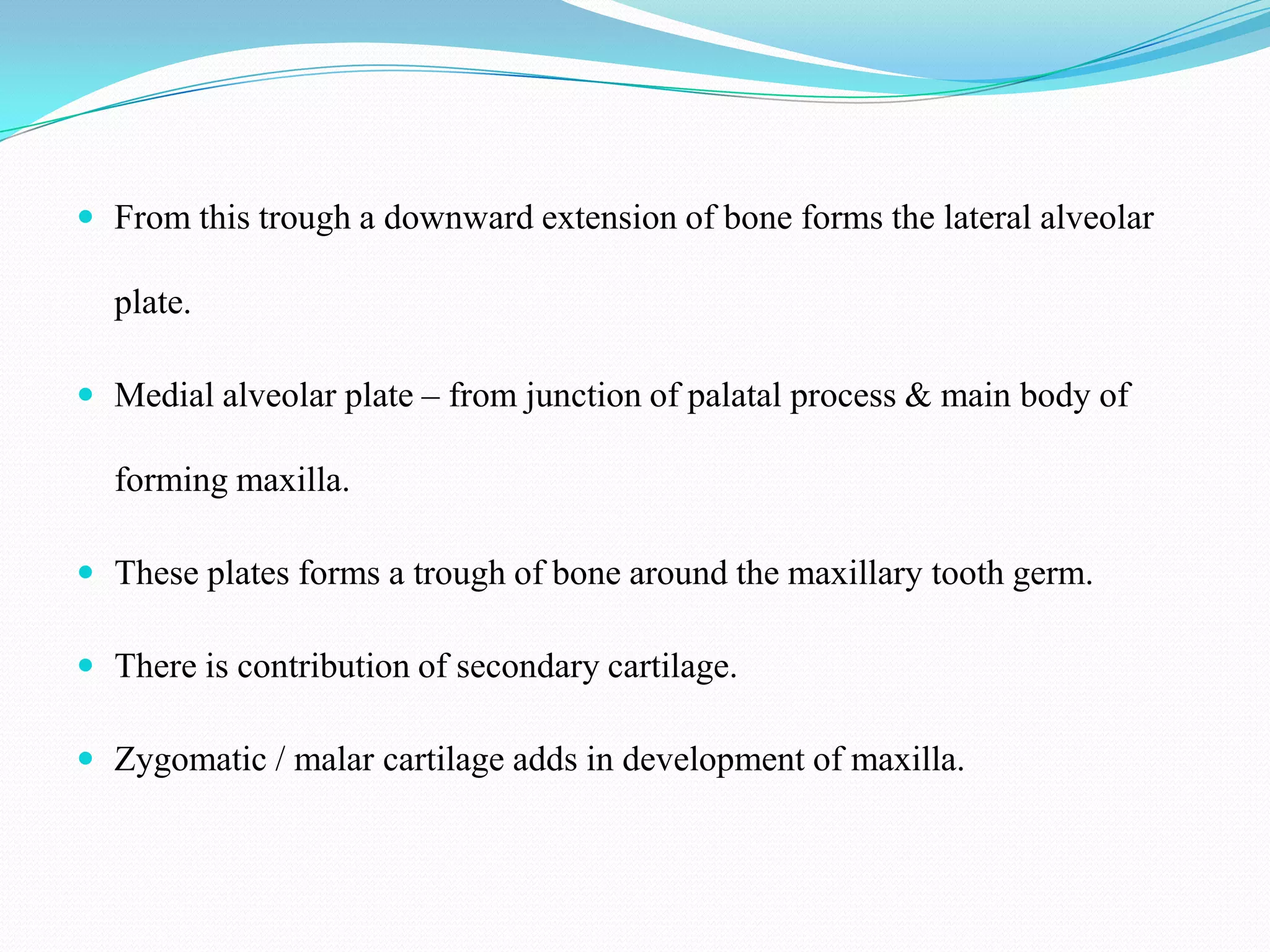 Maxilla anatomy, development & surgical anatomy | PPTX