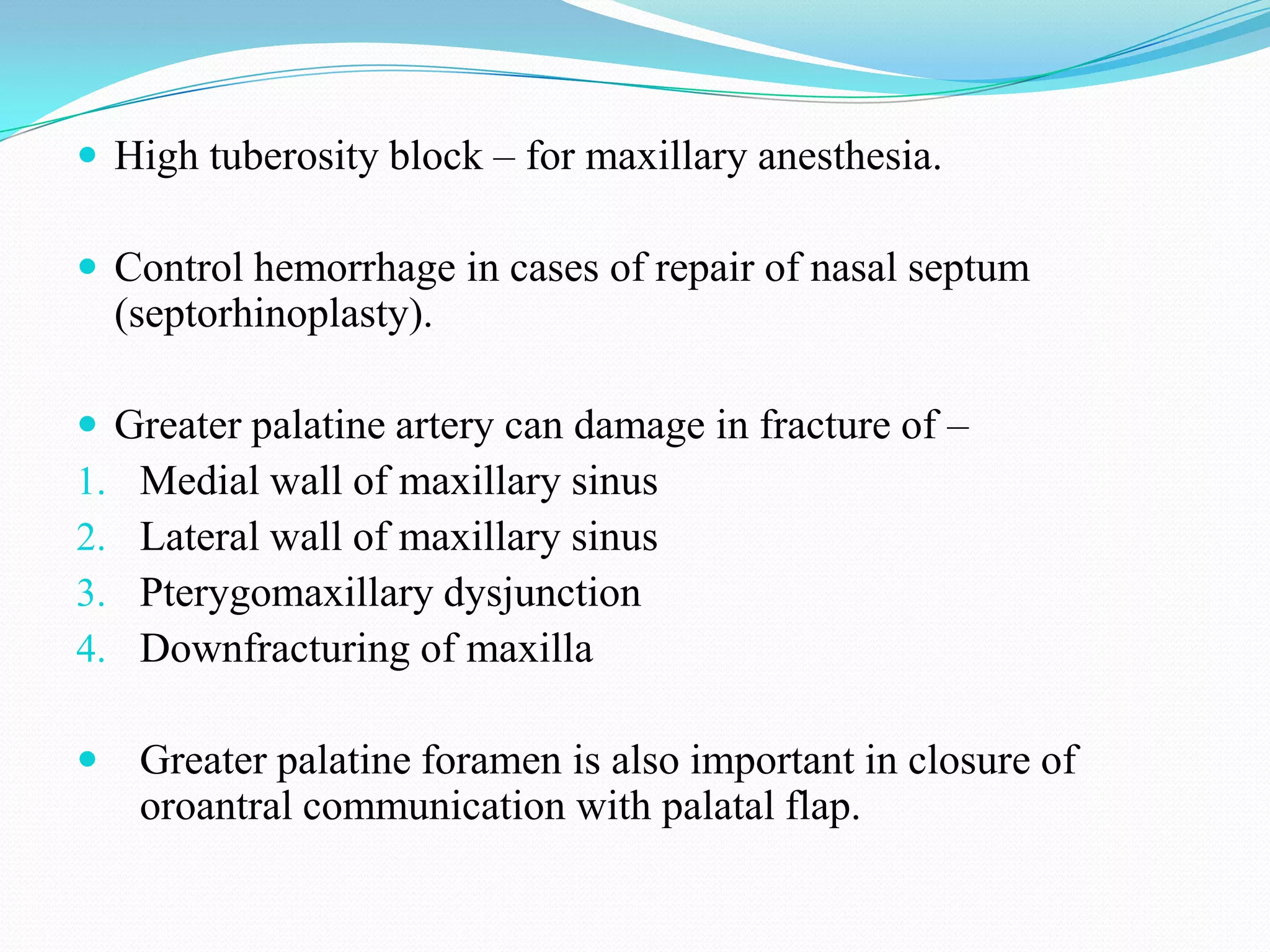 Maxilla anatomy, development & surgical anatomy | PPTX