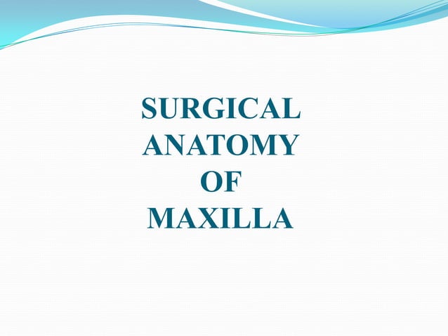 Maxilla anatomy, development & surgical anatomy | PPTX