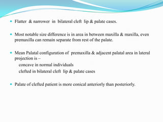 Maxilla anatomy, development & surgical anatomy | PPTX