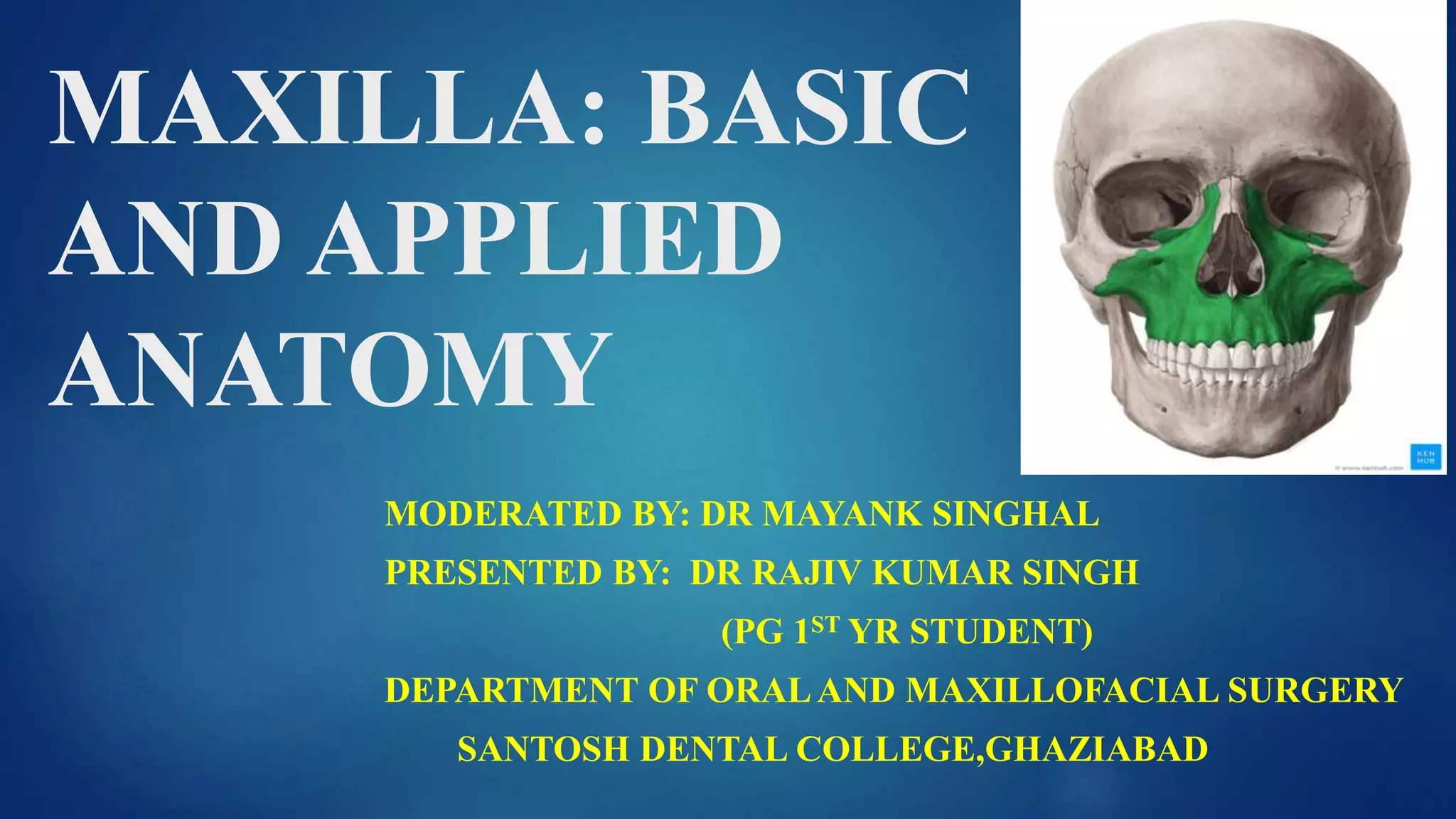 Maxilla basics and applied anatomy DR RAJIV.pptx