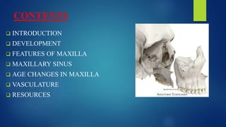 Maxilla basics and applied anatomy DR RAJIV.pptx