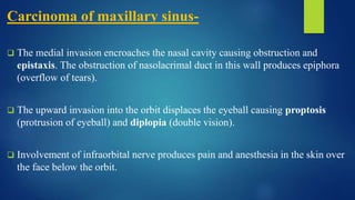 Maxilla basics and applied anatomy DR RAJIV.pptx