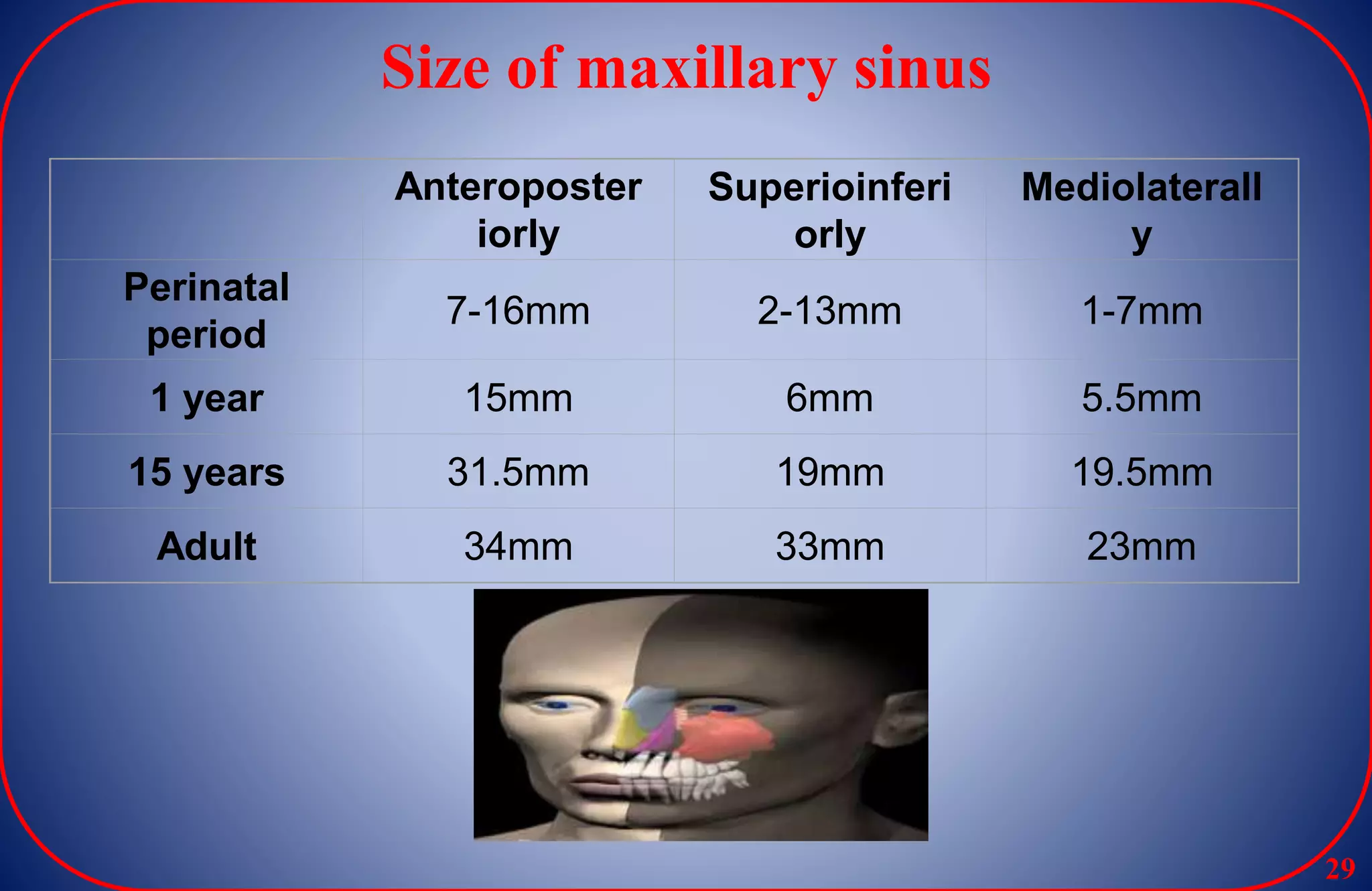 Maxilla | PPTX