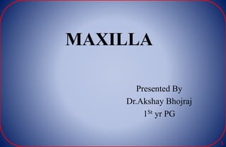 Maxilla | PPTX
