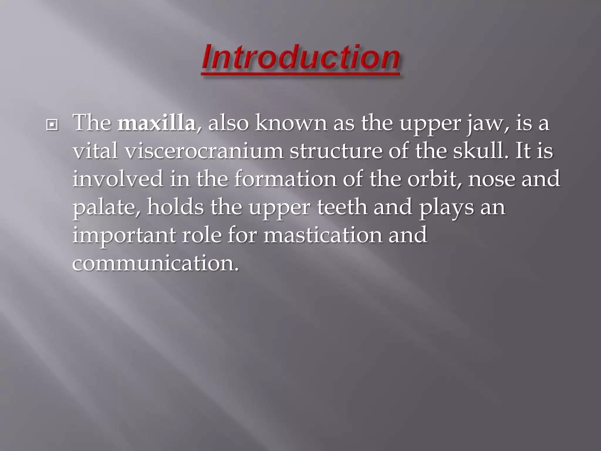 Maxilla and Mandible | PPTX