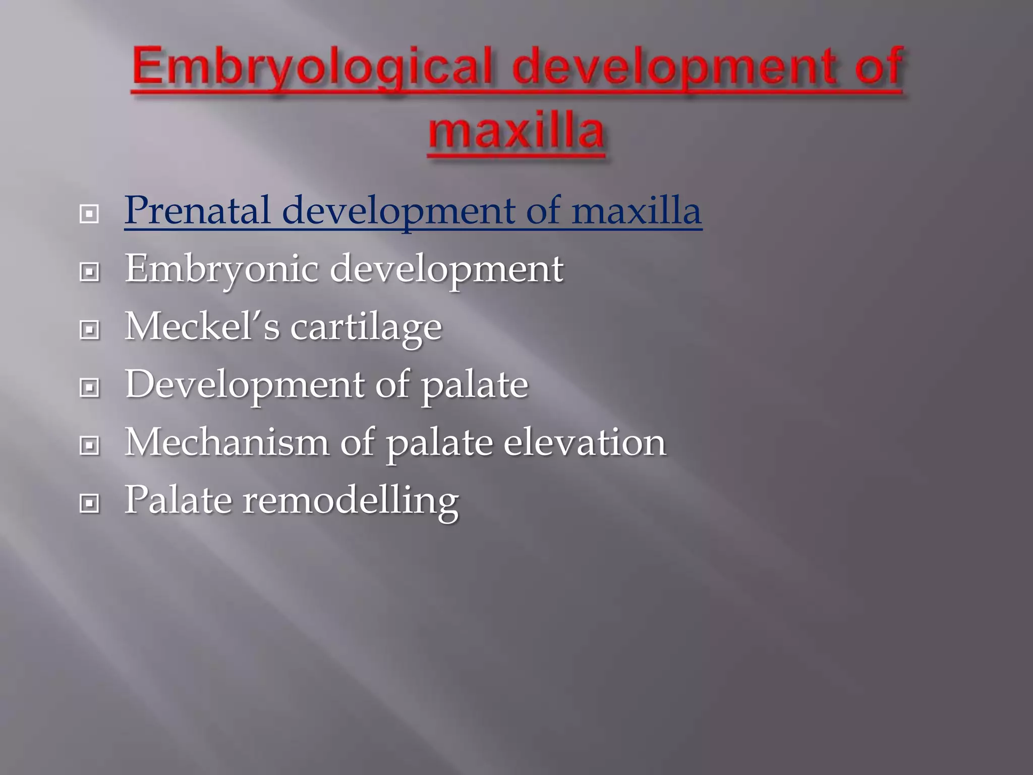 Maxilla and Mandible | PPTX