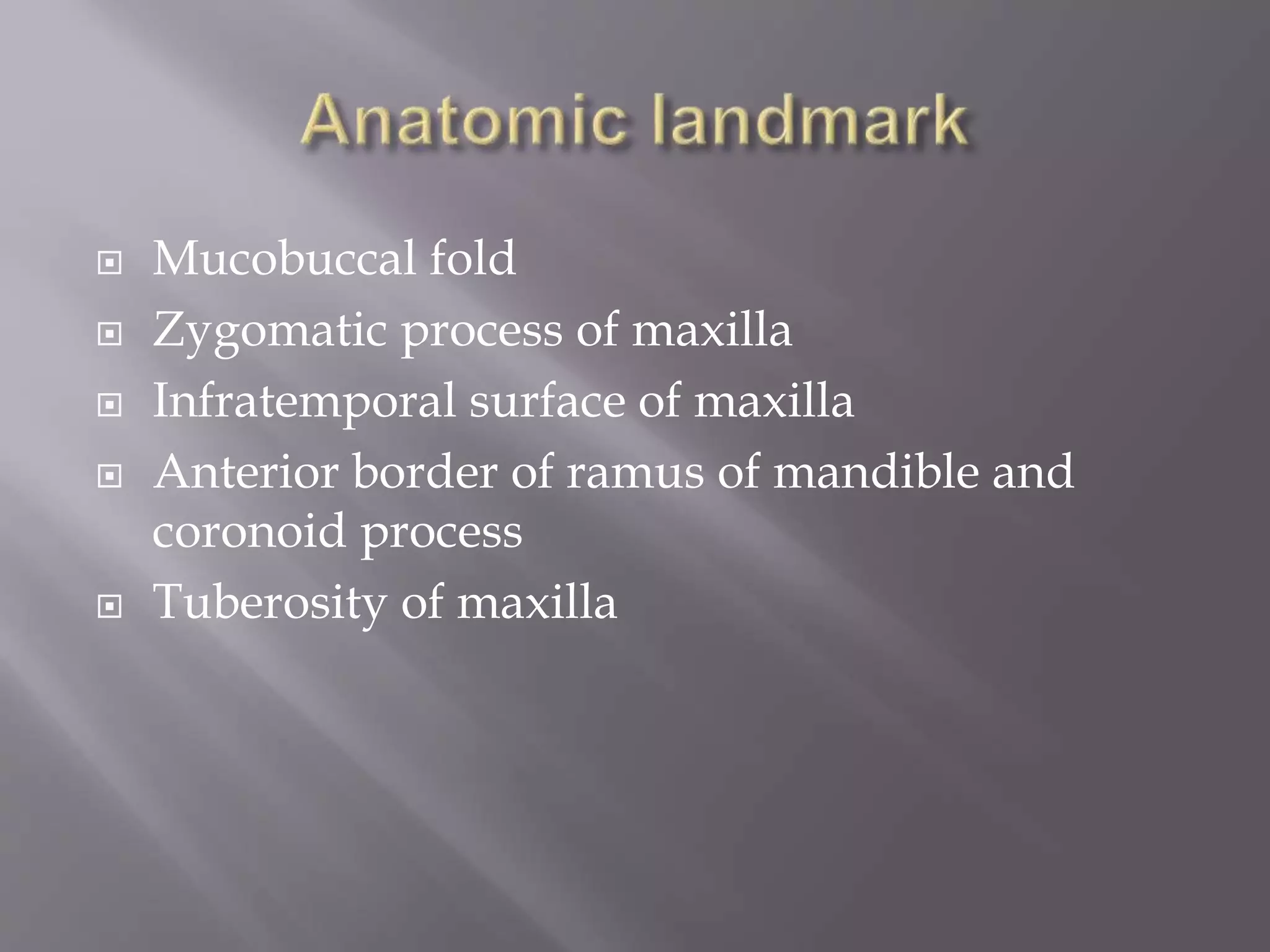 Maxilla and Mandible | PPTX