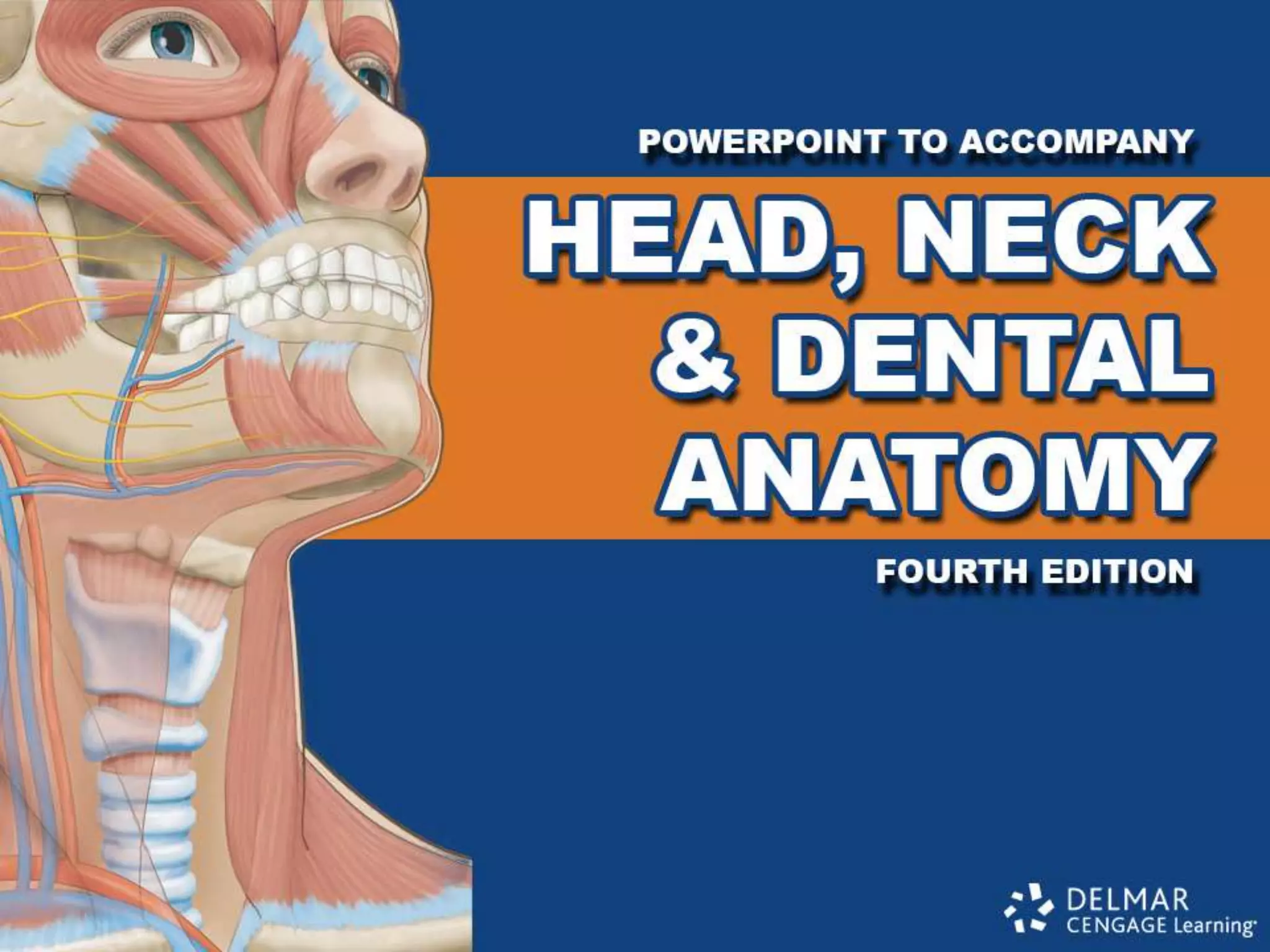 Maxilla, mandible, quadrants, types of teeth, universal numbering ...