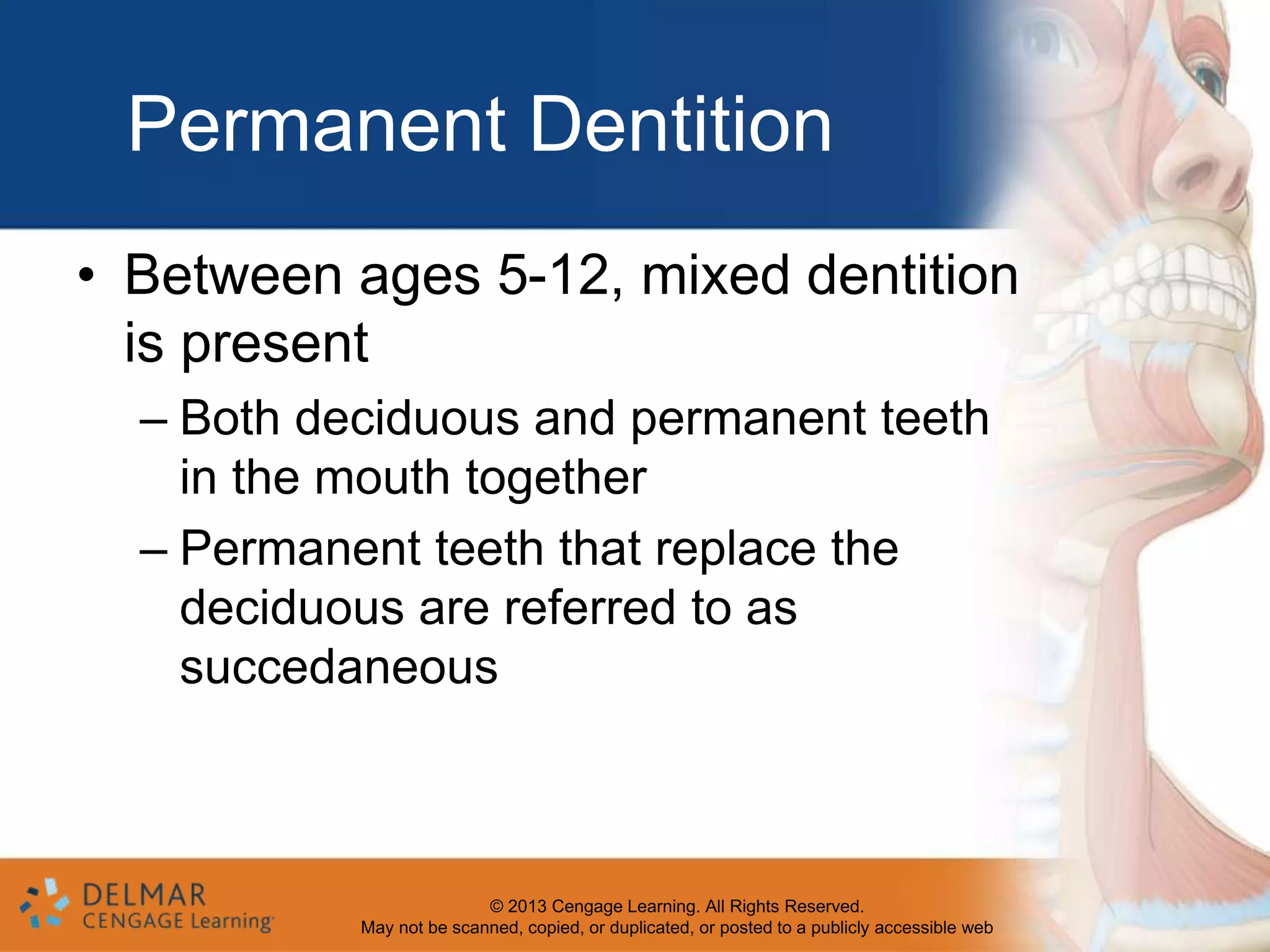 Maxilla, mandible, quadrants, types of teeth, universal numbering ...