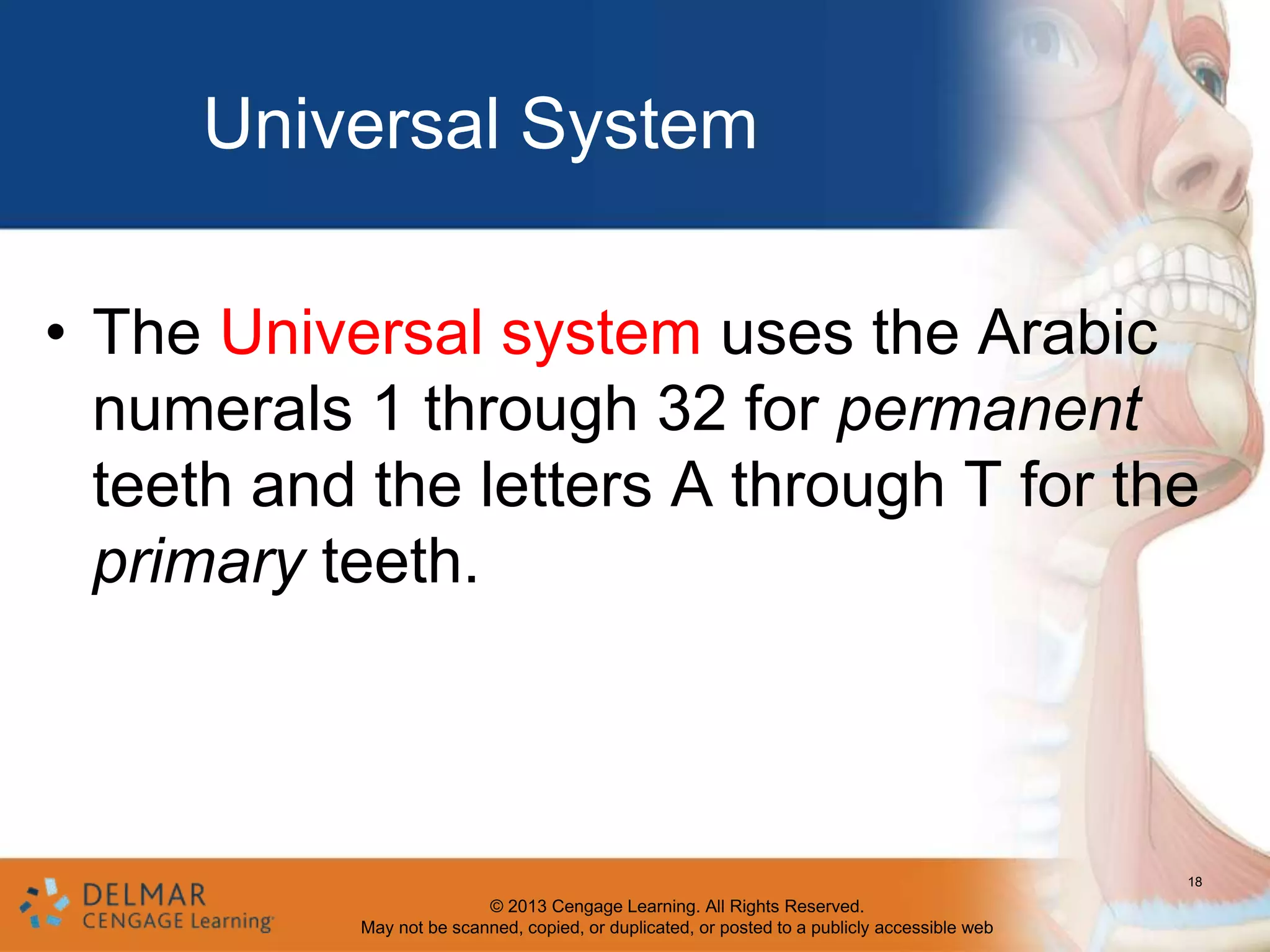 Maxilla, mandible, quadrants, types of teeth, universal numbering ...