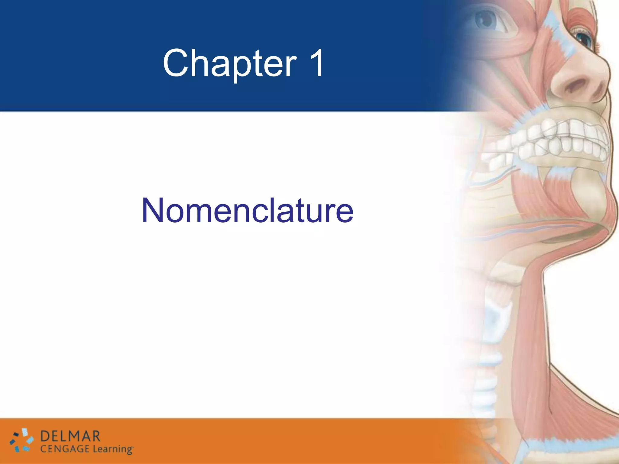 Maxilla, mandible, quadrants, types of teeth, universal numbering ...