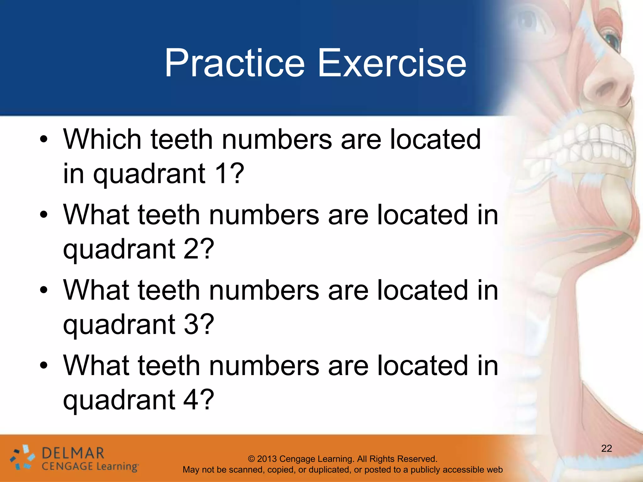 Maxilla, mandible, quadrants, types of teeth, universal numbering ...