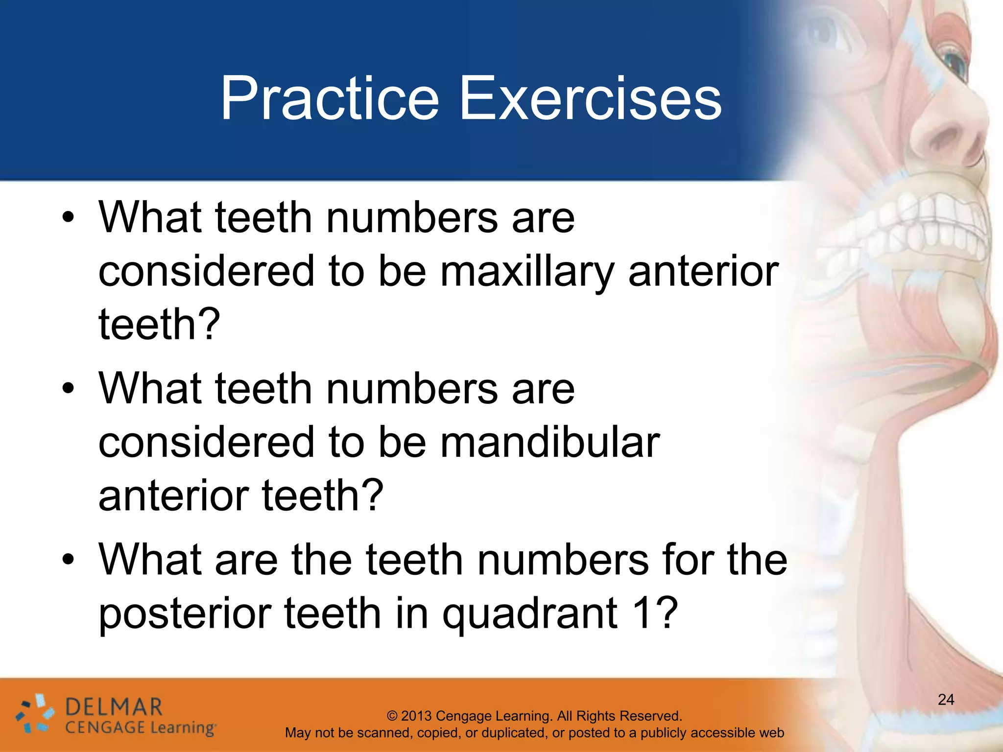 Maxilla, mandible, quadrants, types of teeth, universal numbering ...