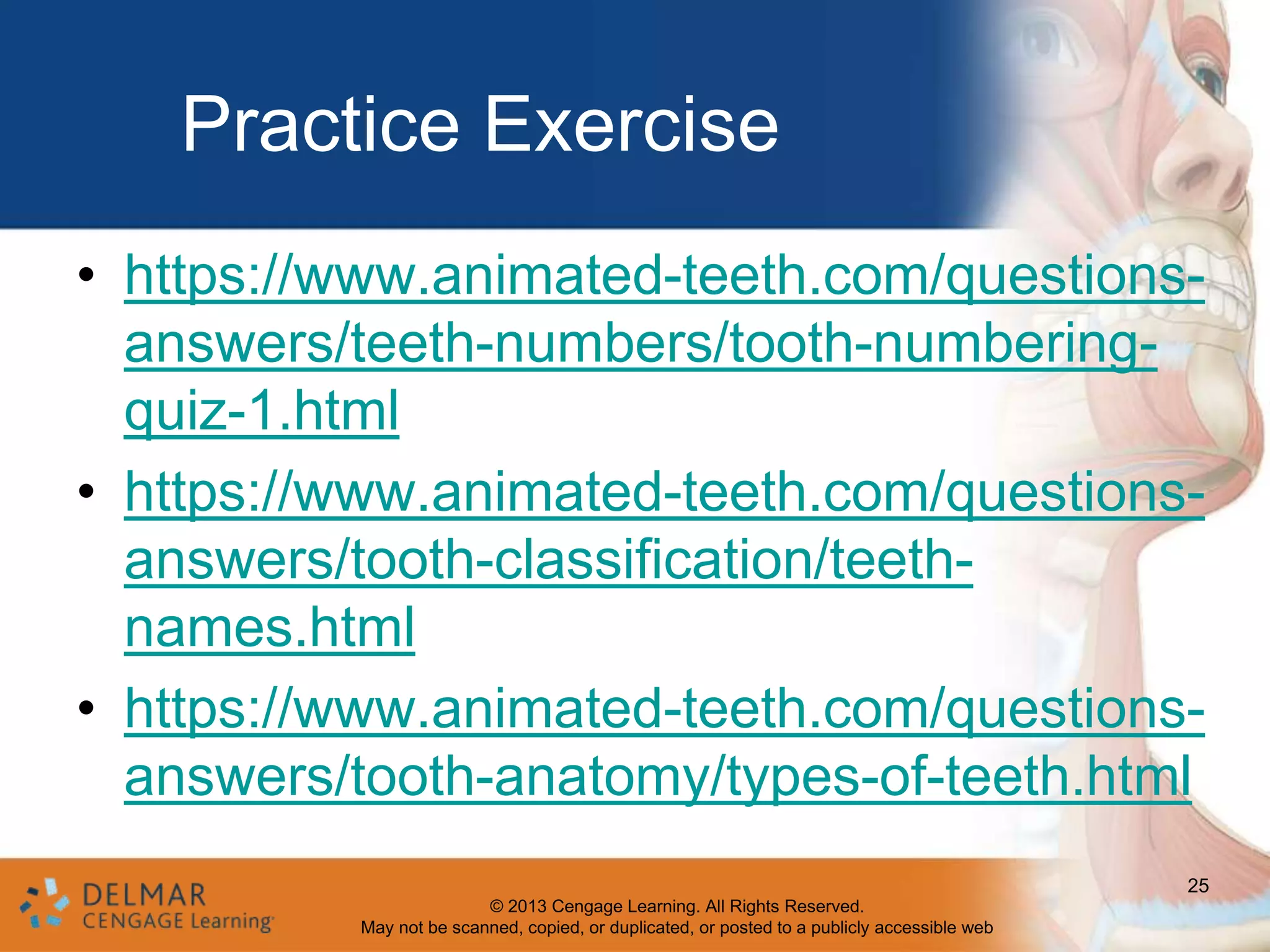 Maxilla, mandible, quadrants, types of teeth, universal numbering ...