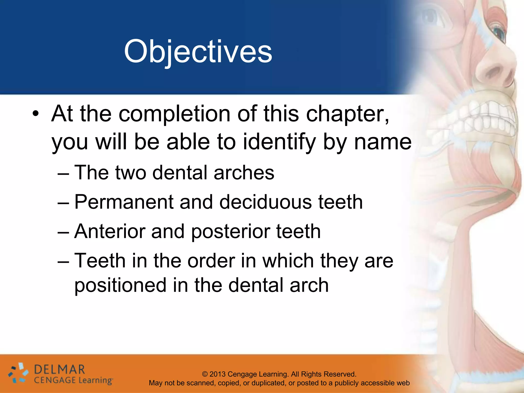 Maxilla, mandible, quadrants, types of teeth, universal numbering ...