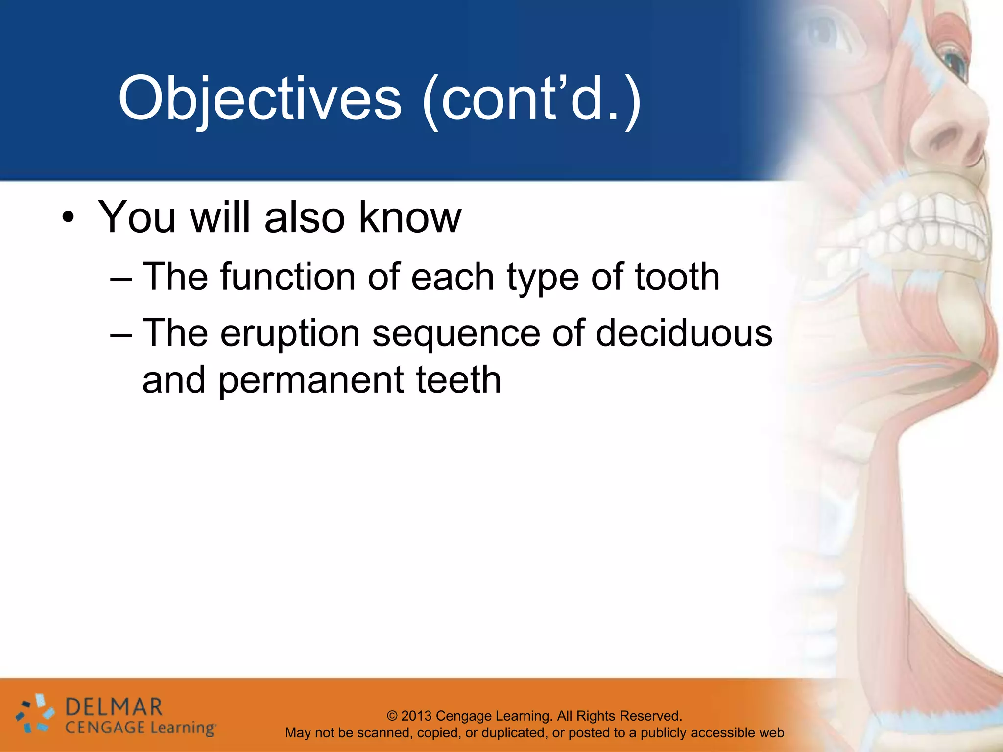 Maxilla, mandible, quadrants, types of teeth, universal numbering ...