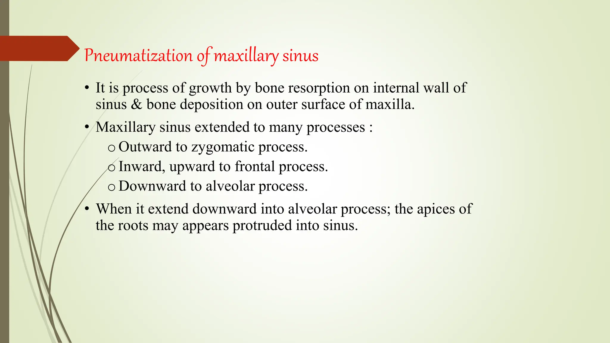 SURGICAL AND APPLIED ANATOMY OF MAXILLA. | PPTX