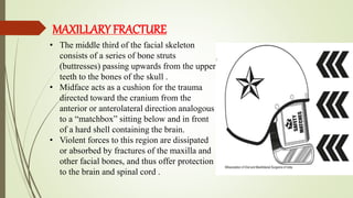 SURGICAL AND APPLIED ANATOMY OF MAXILLA. | PPTX
