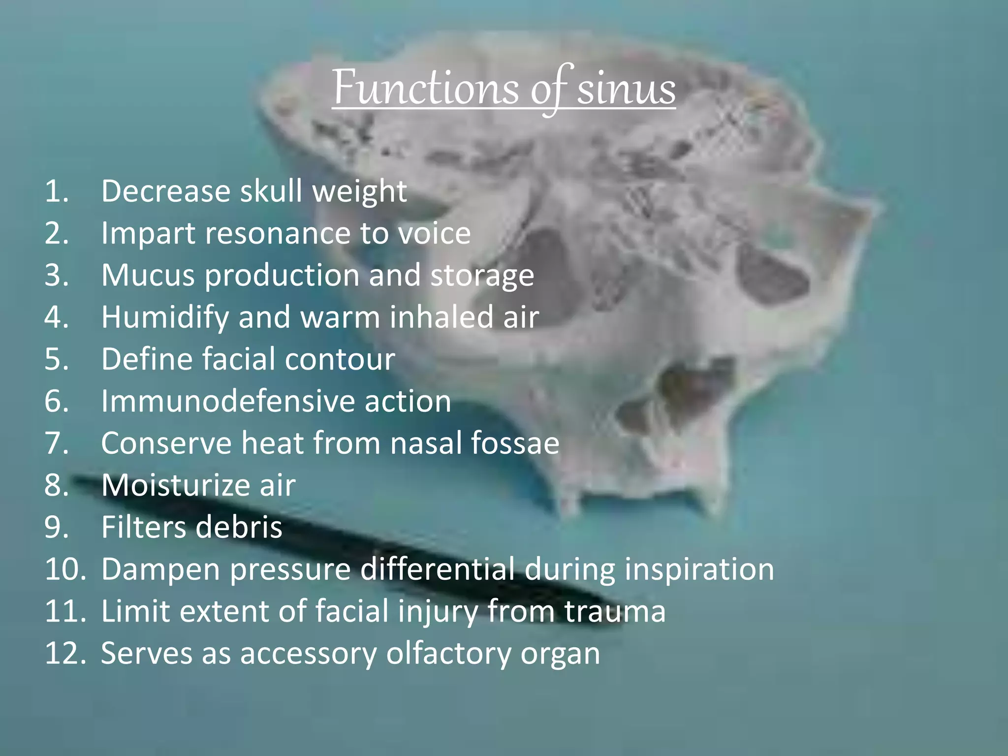 Maxillary sinus for dental students year 1 | PPTX