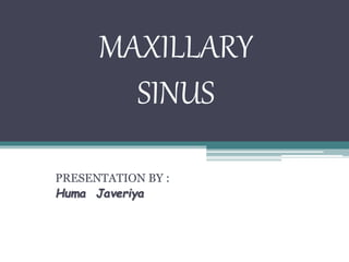 Maxillary sinus for dental students year 1 | PPTX
