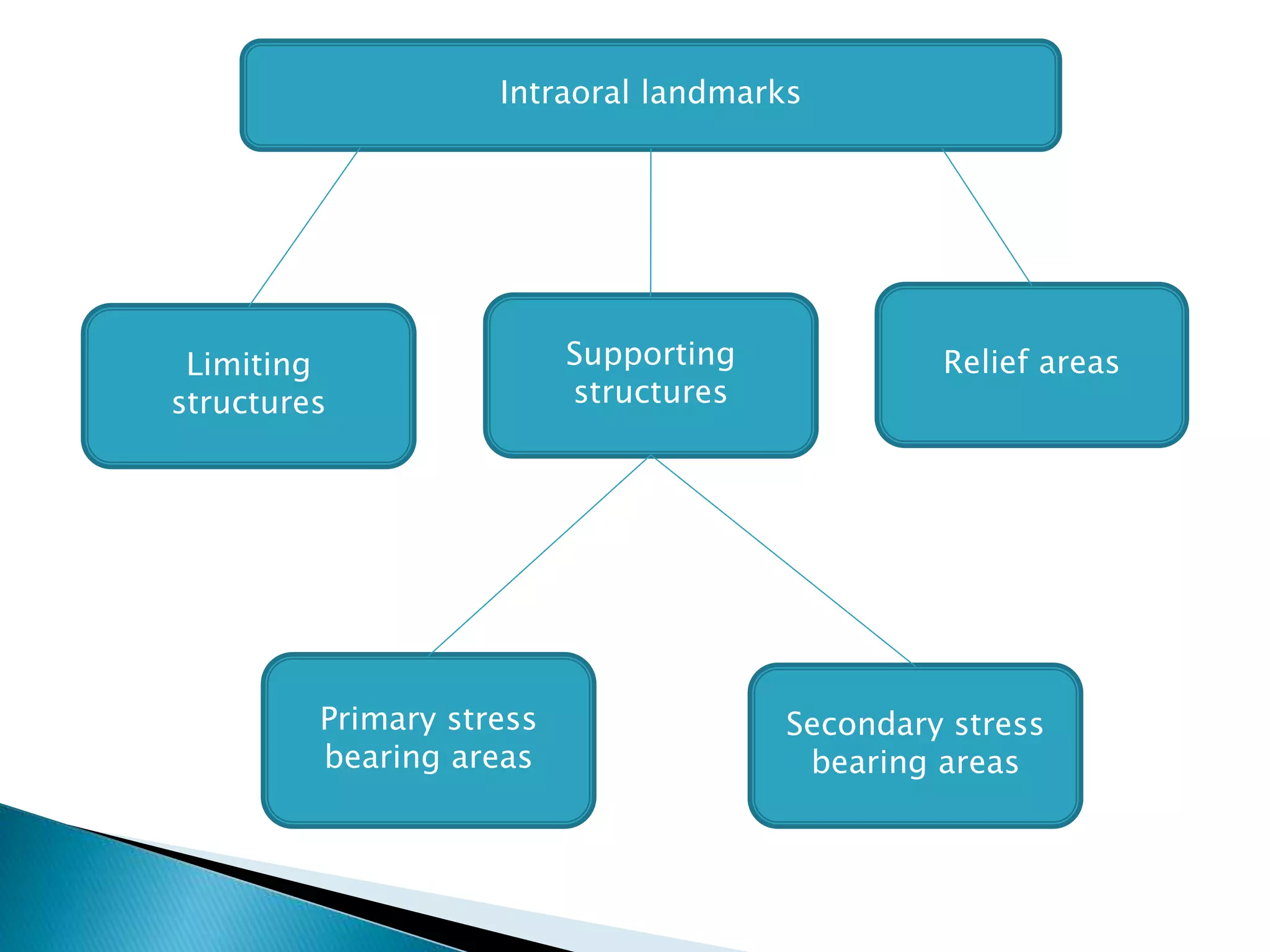 Maxillary denture-landmarks | PPTX