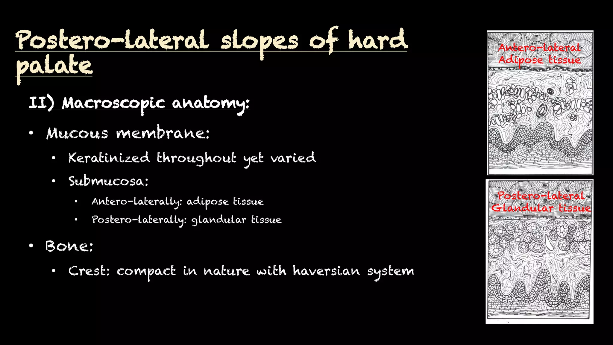 ANATOMICAL LANDMARKS OF EDENTULOUS MAXILLA | PDF