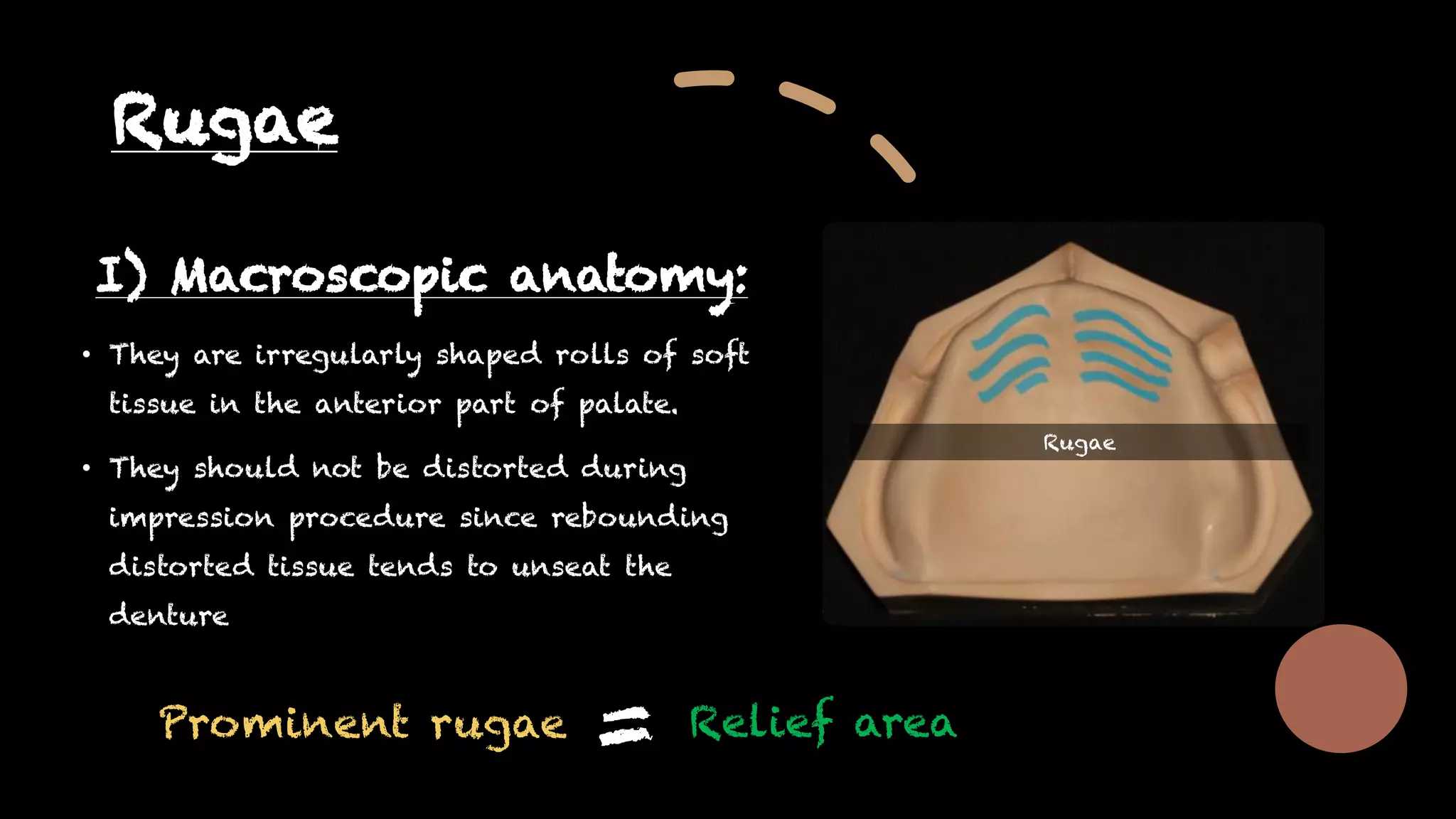 ANATOMICAL LANDMARKS OF EDENTULOUS MAXILLA | PDF