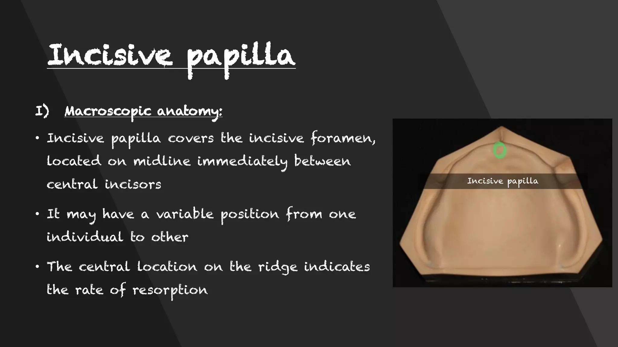ANATOMICAL LANDMARKS OF EDENTULOUS MAXILLA | PDF