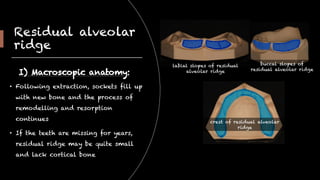 ANATOMICAL LANDMARKS OF EDENTULOUS MAXILLA | PDF