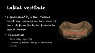 ANATOMICAL LANDMARKS OF EDENTULOUS MAXILLA | PDF