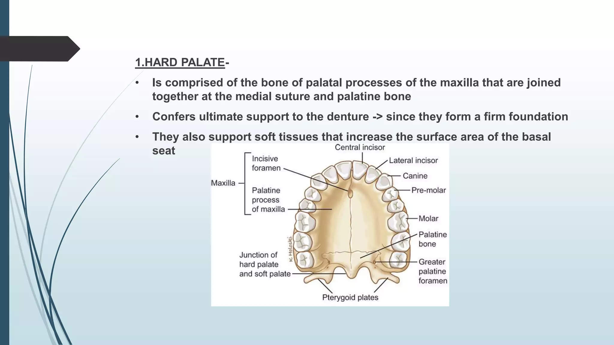 MAXILLARY ANATOMICAL LANDMARKS.pptx